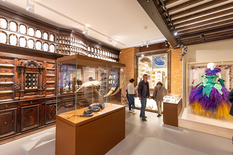 Le musée Paul-Dupuy rouvre sous un nouveau nom Le musée Paul-Dupuy rouvre sous un nouveau nom
